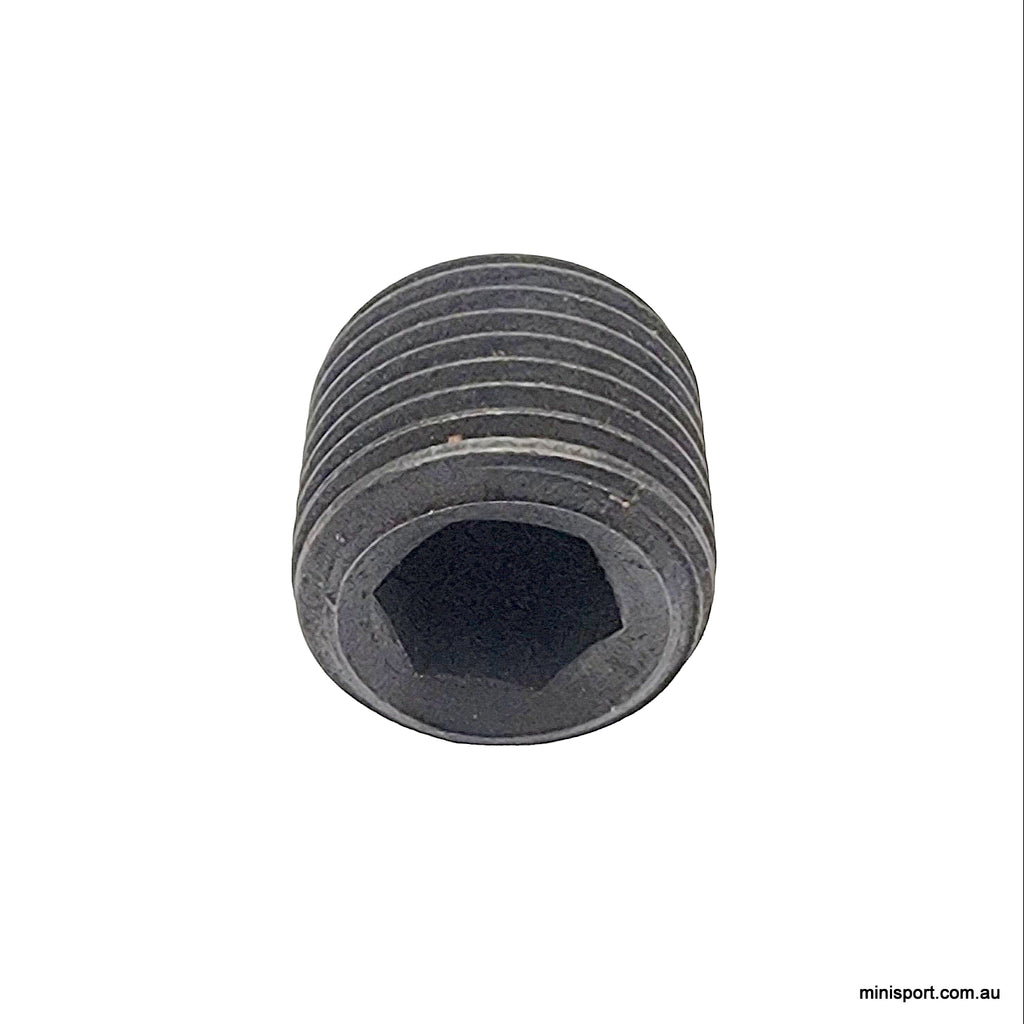 PLUG 5/8UNF X 5/8 SCREW INLET MANIFOLD & CYL HEAD BY PASS – Minisport