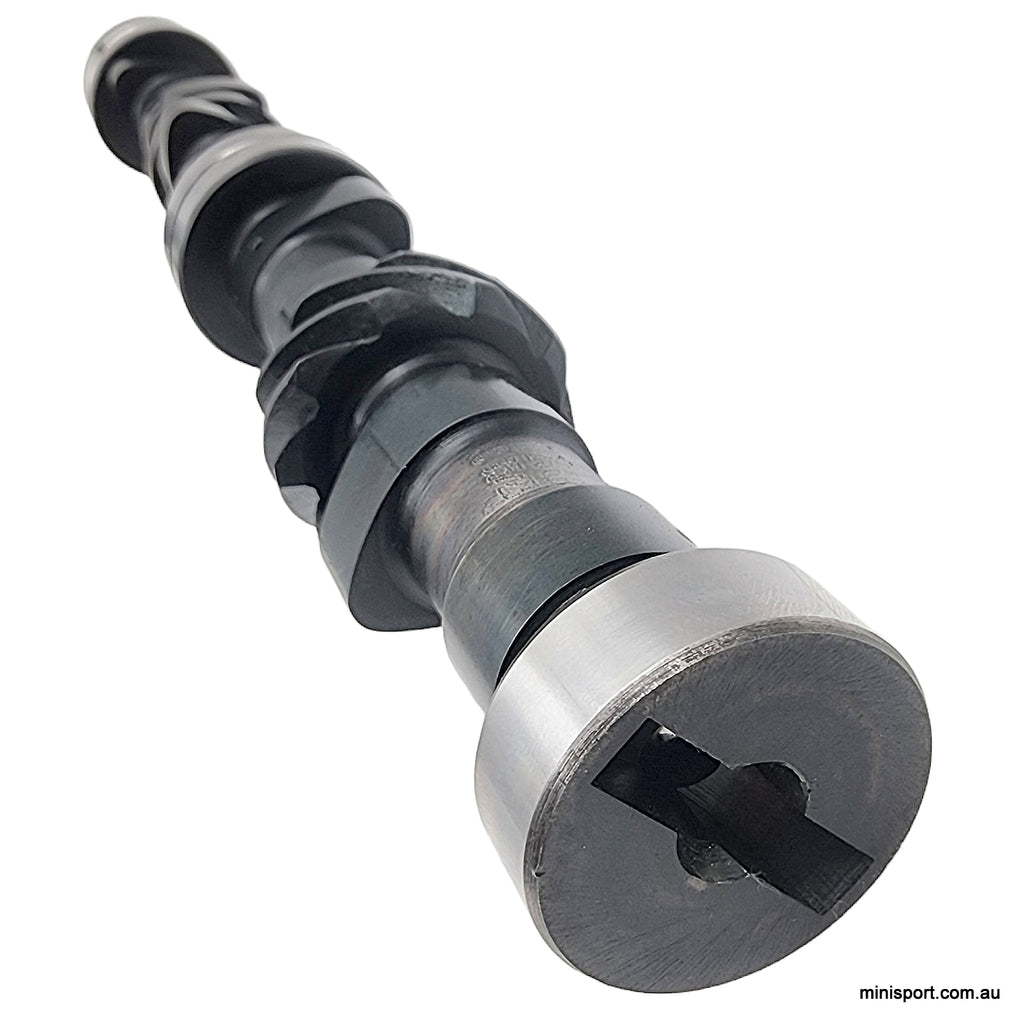 Mini scatter pattern RACE cam (M SERIES) 310 – Minisport