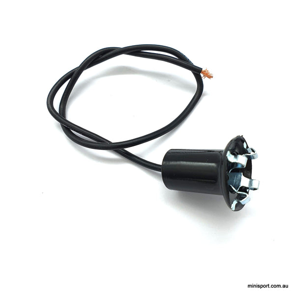 Globes & Holders – Minisport