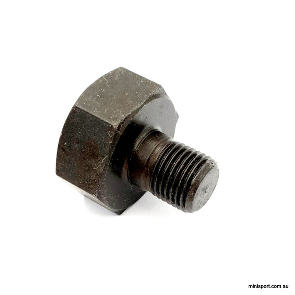MINI A+ CRANK PULLEY BOLT – Minisport