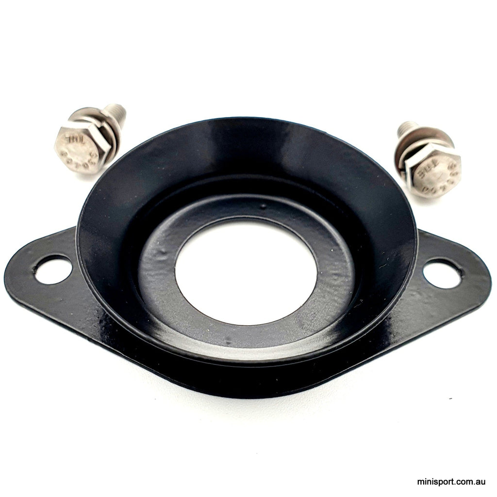 MINI CLUBMAN/LEYLAND BONNET LANDING PLATE – Minisport